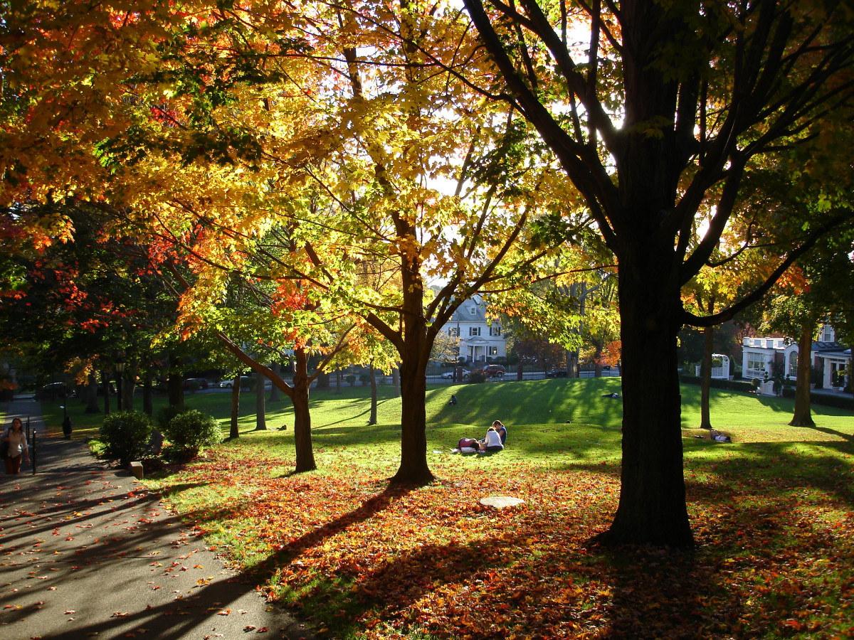 Easy Guide To Universities In Boston | Student.com Blog