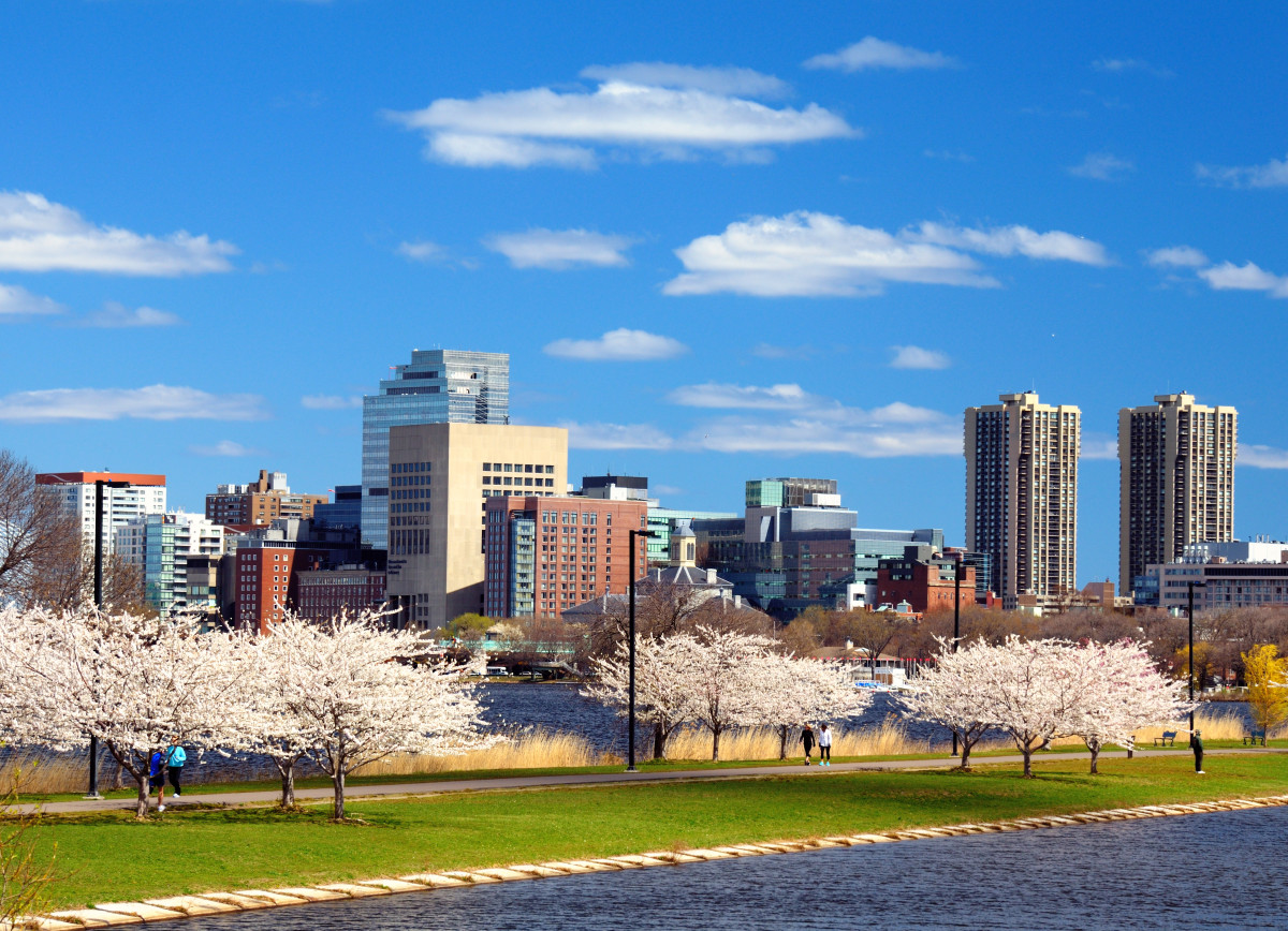 Best Study Spots For Students In Boston | Student.com Blog